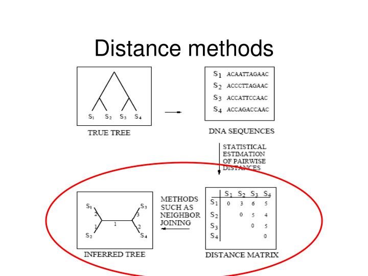 PPT - Distance methods PowerPoint Presentation, free download - ID:3284252