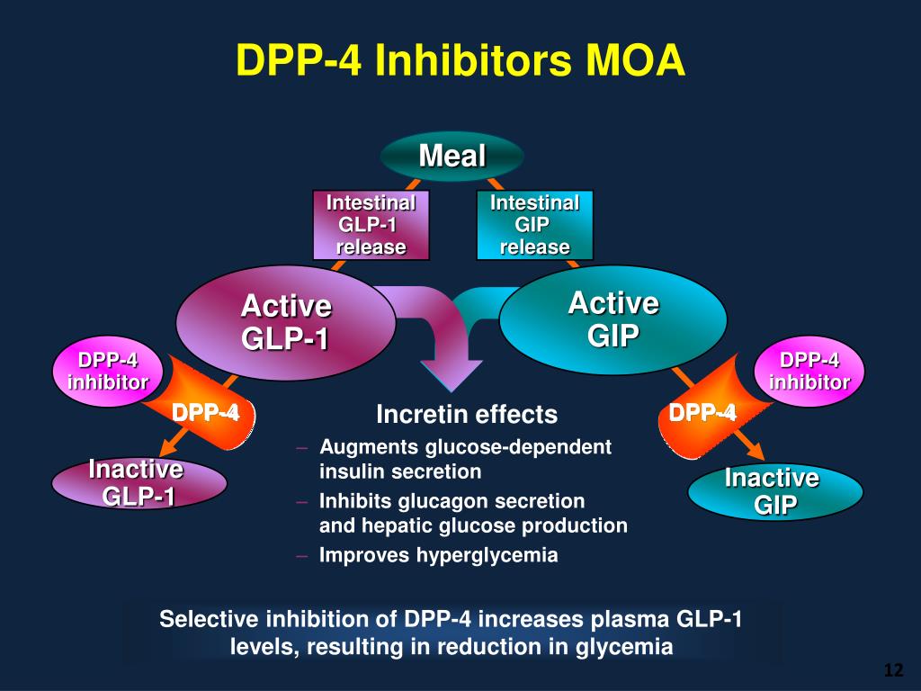PPT - Type 2 Diabetes Treatment: Novel Therapies GLP-1 Receptor ...