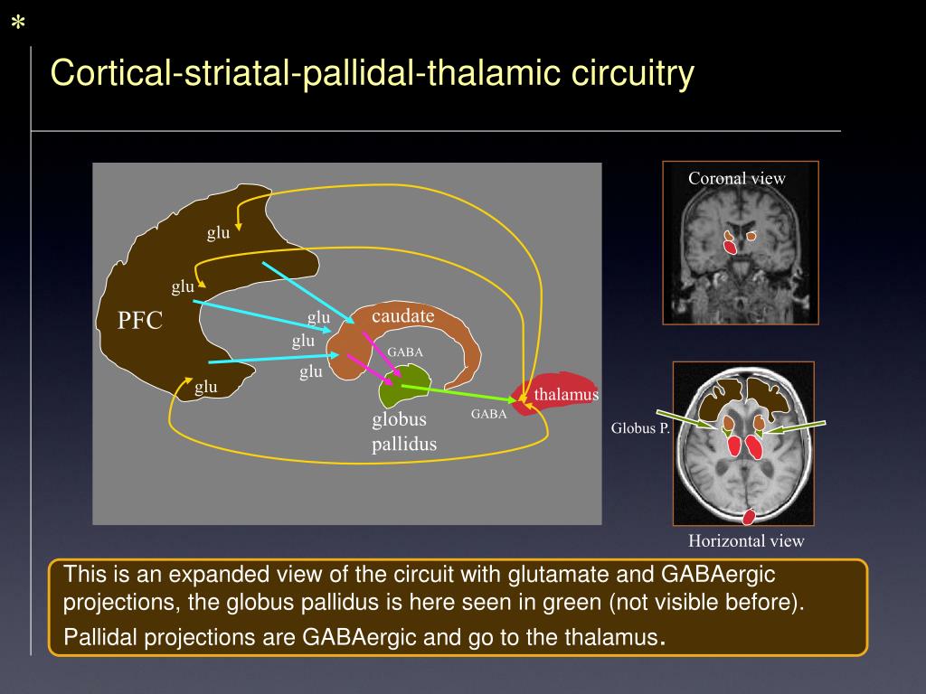 PPT - Hugh Brent Solvason PhD MD Associate Professor Stanford ...