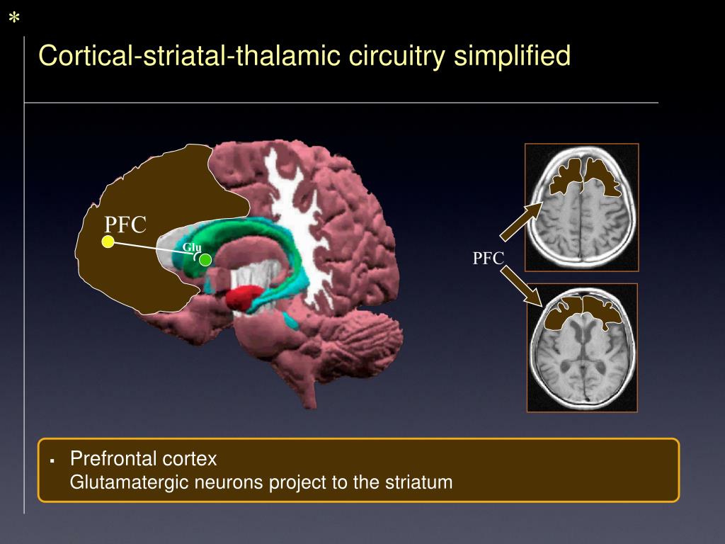 PPT - Hugh Brent Solvason PhD MD Associate Professor Stanford ...