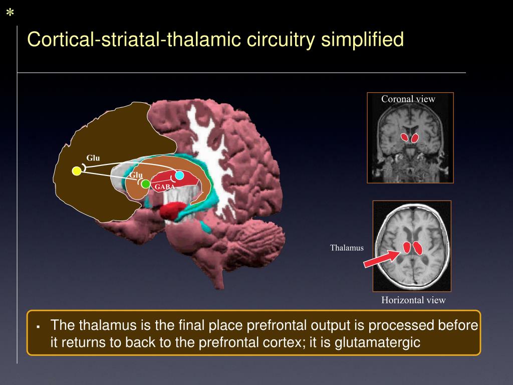 PPT - Hugh Brent Solvason PhD MD Associate Professor Stanford ...