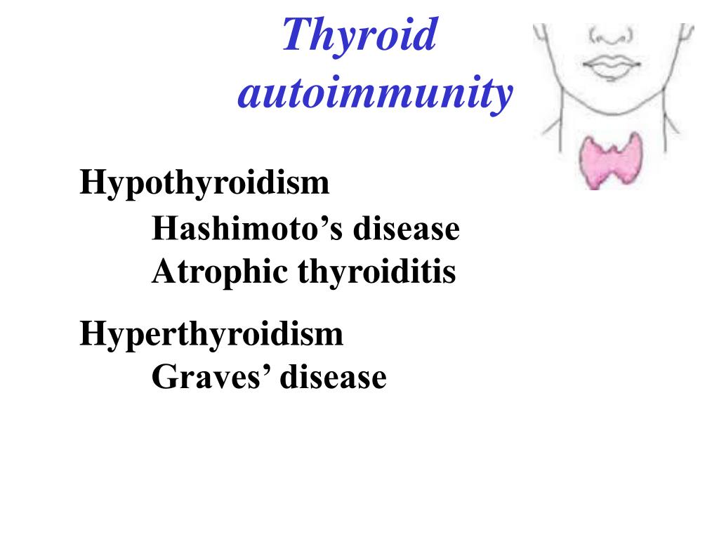 PPT - Immunology of endocrine diseases Aetiology BS936 autoimmunity ...