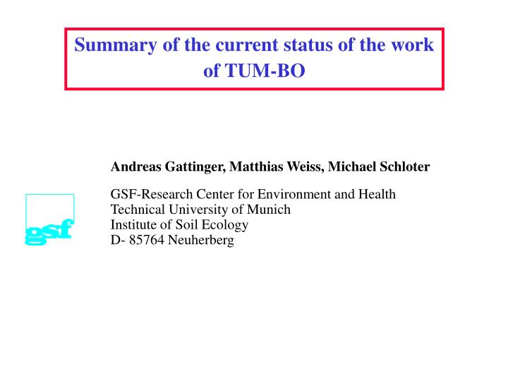 PPT - Summary of the current status of the work of TUM-BO PowerPoint ...