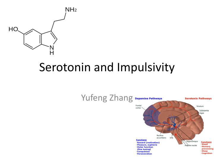 PPT - Serotonin and Impulsivity PowerPoint Presentation, free download ...
