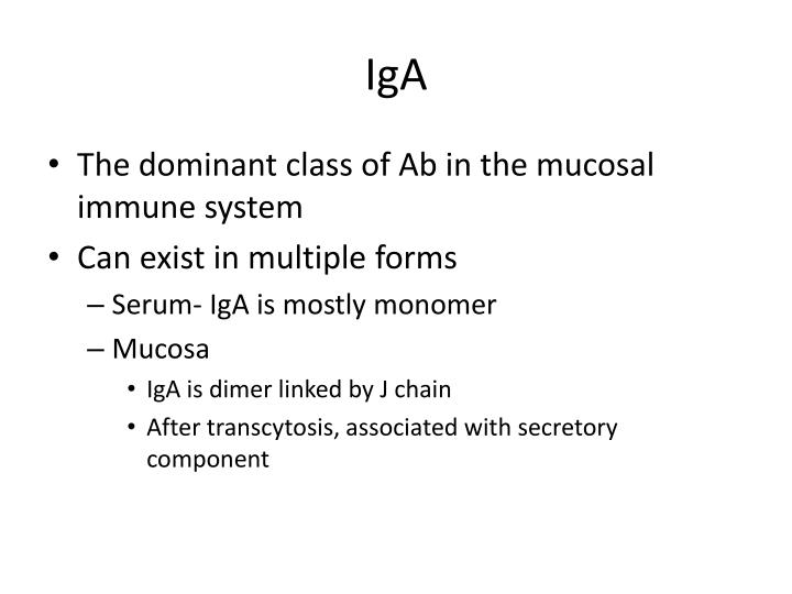 PPT - Mucosal Immunity-I PowerPoint Presentation - ID:3287086