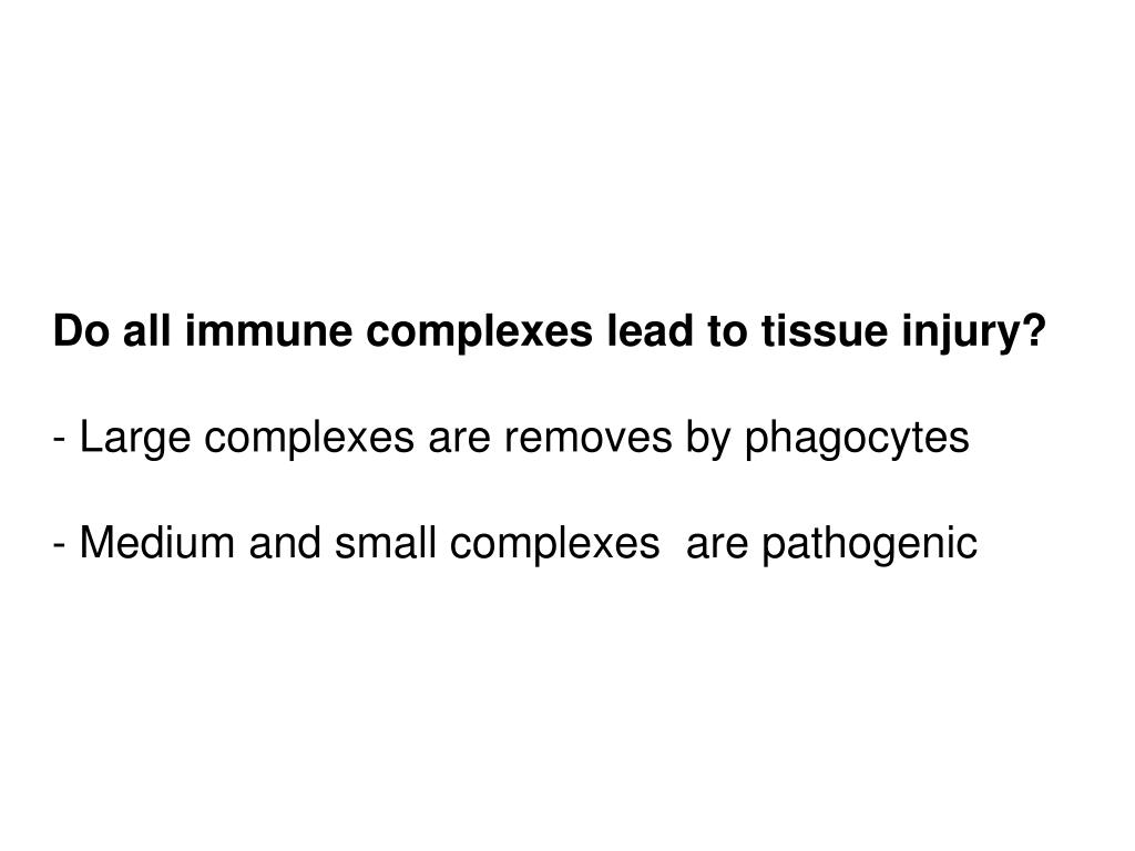 PPT - Do all immune complexes lead to tissue injury? - Large complexes ...
