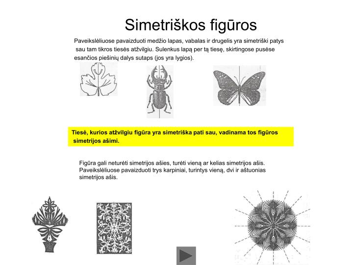PPT - Simetrija PowerPoint Presentation - ID:3287771