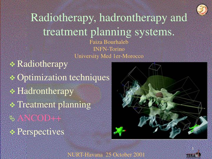 PPT - Radiotherapy Optimization techniques Hadrontherapy Treatment ...