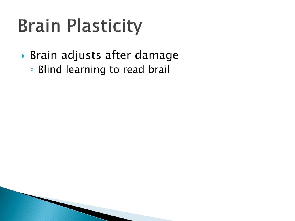 PPT - Unraveling the Neuroscience of Neurons: From Communication to ...