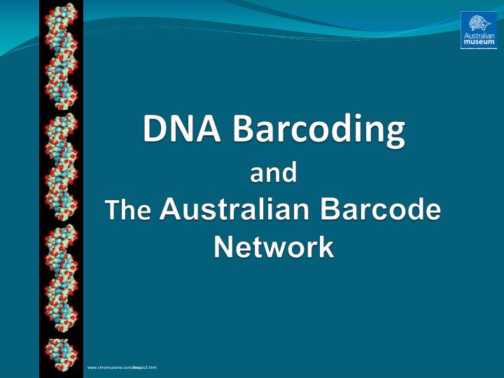 PPT - DNA Barcoding and The Australian Barcode Network PowerPoint ...