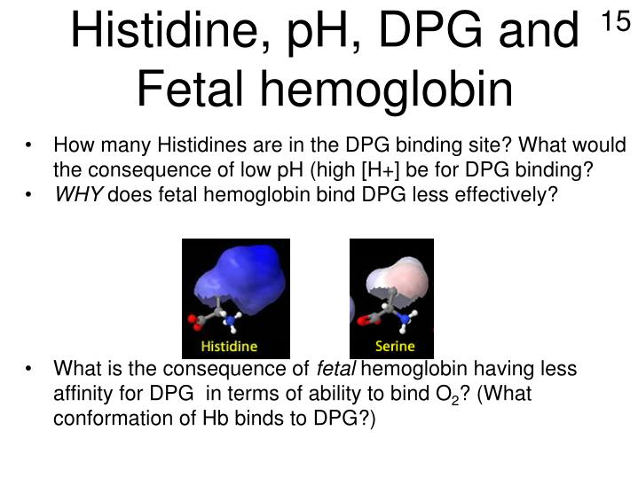 PPT - Hemo Part 2: You drive! PowerPoint Presentation - ID:3289385