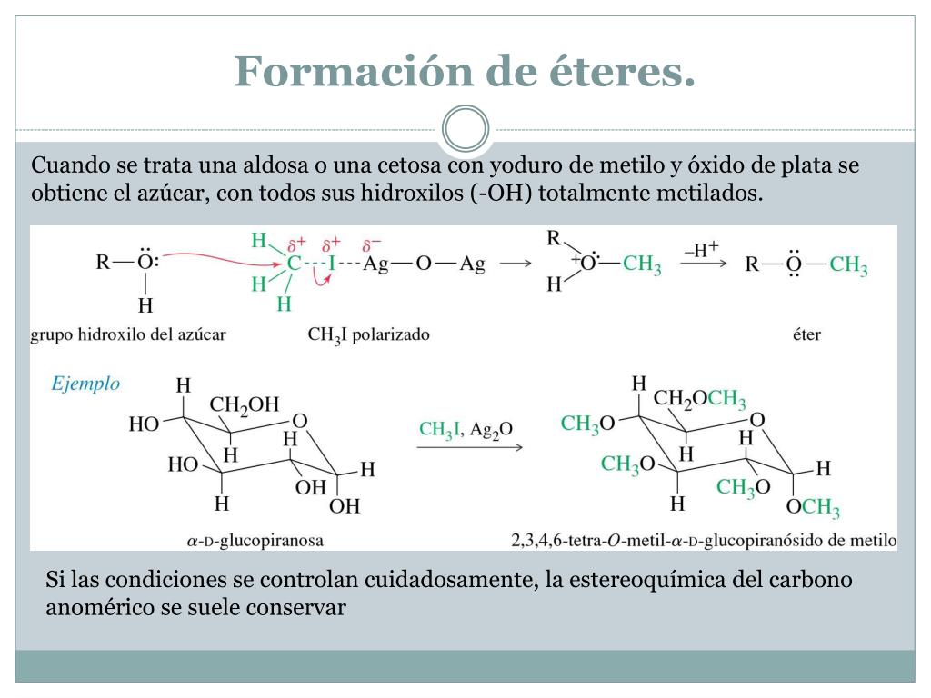 PPT - Carbohidratos y ácidos nucleicos PowerPoint Presentation, free ...
