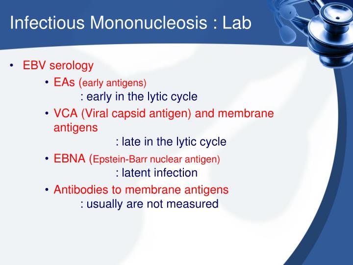 PPT - Infectious Mononucleosis. PowerPoint Presentation - ID:3291291