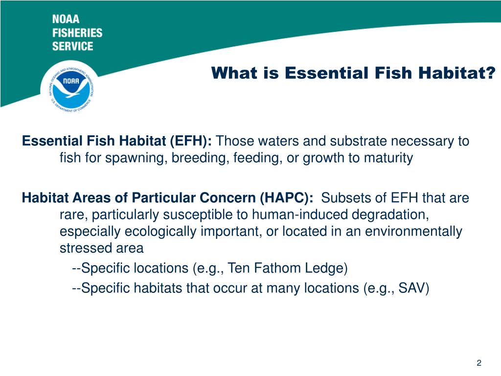 PPT - Fritz.Rohde@noaa Beaufort, North Carolina Pace.Wilber@noaa ...