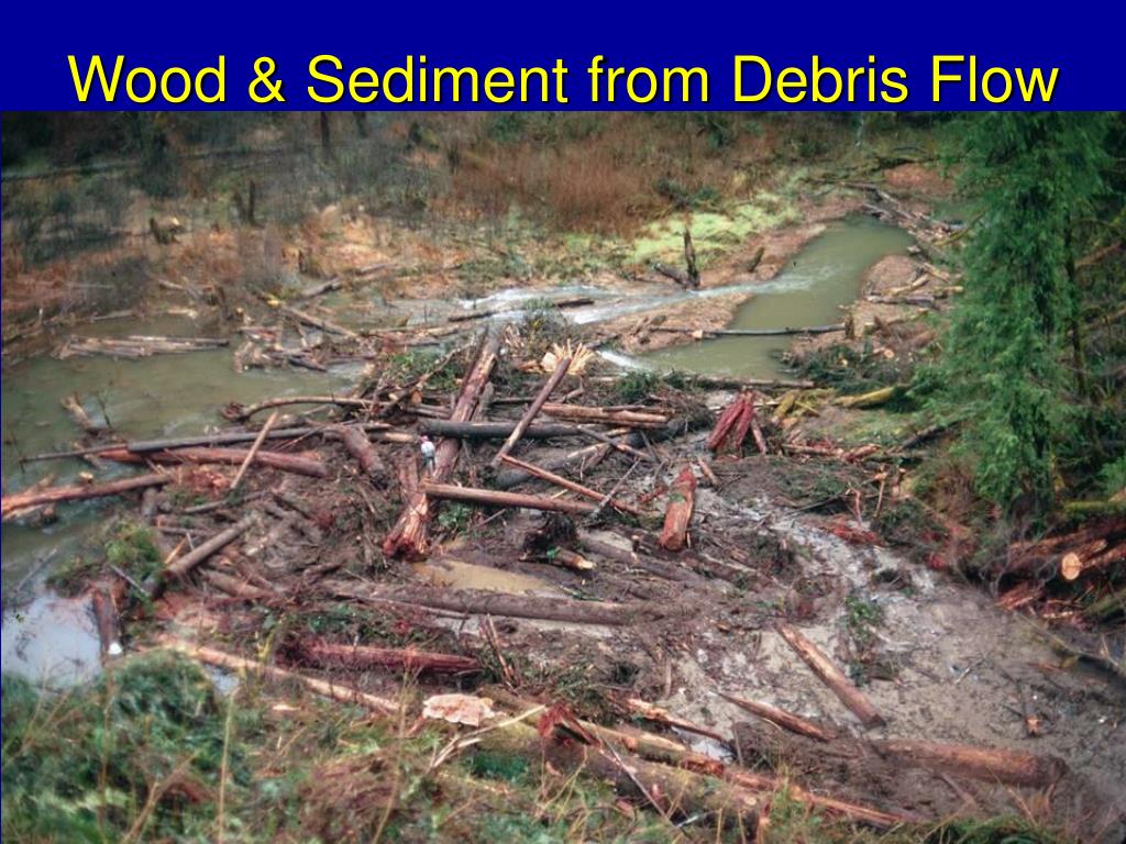 PPT - Riparian Thinning Logic for Restoration in Siuslaw National ...
