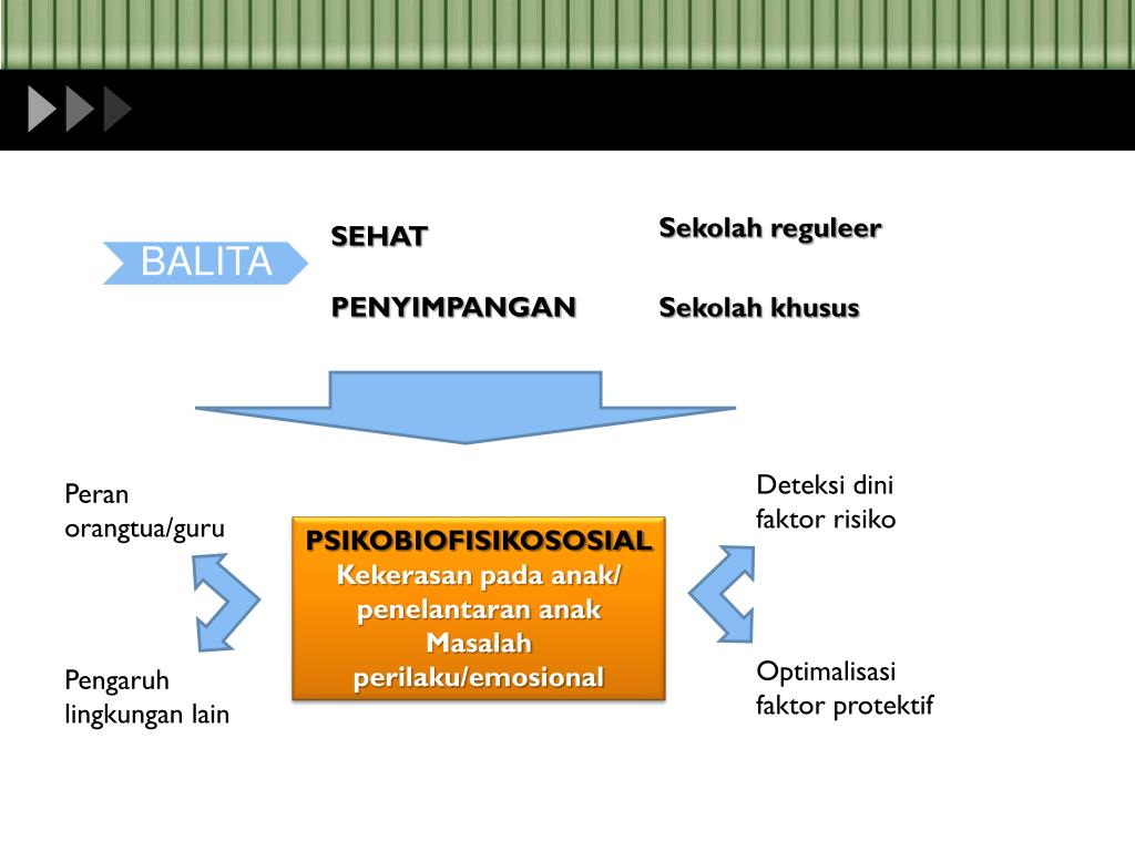 PPT - S DIDTK PENERAPAN SDIDTK DALAM MASA TUMBUH KEMBANG ANAK ...