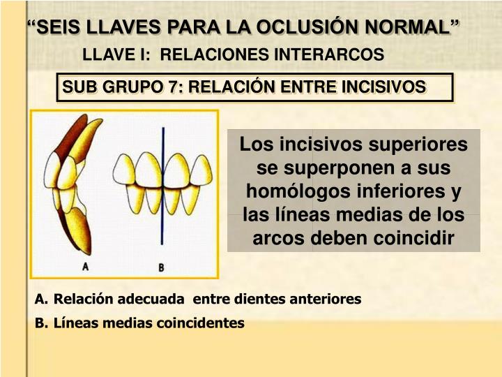 PPT - LLAVES DE LA OCLUSIÓN PowerPoint Presentation - ID:3292550