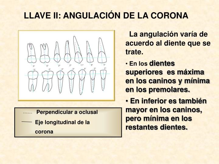 PPT - LLAVES DE LA OCLUSIÓN PowerPoint Presentation - ID:3292550
