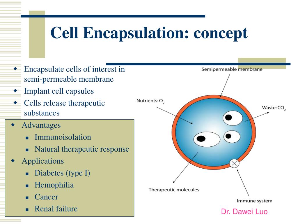 PPT - Carlos Montalvo Foy H. Moody High School; Corpus Christi ISD ...