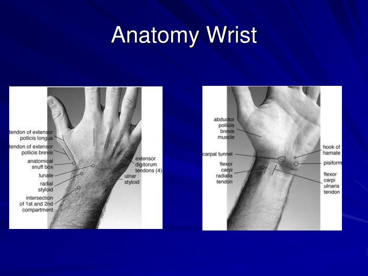 PPT - Examination of the Hand and Wrist PowerPoint Presentation - ID ...