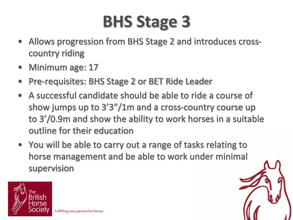 PPT - British Horse Society Examinations PowerPoint Presentation, free download - ID:3294622