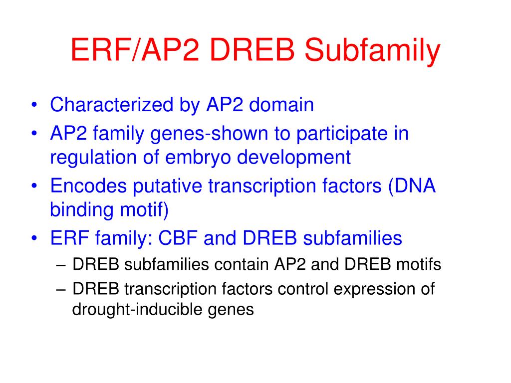 PPT - ERF/AP2 Subfamily A3 and ERF/AP2 Subfamily A6 Genes: AT1G64380 ...