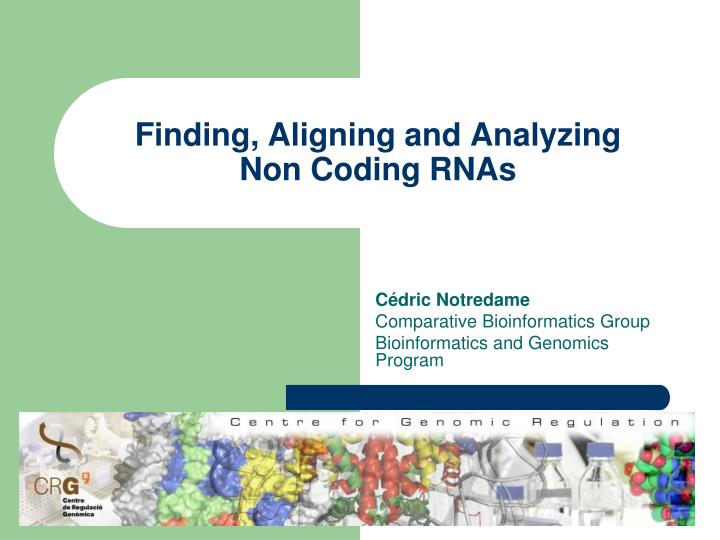 PPT - Finding, Aligning and Analyzing Non Coding RNAs PowerPoint Presentation - ID:3295338