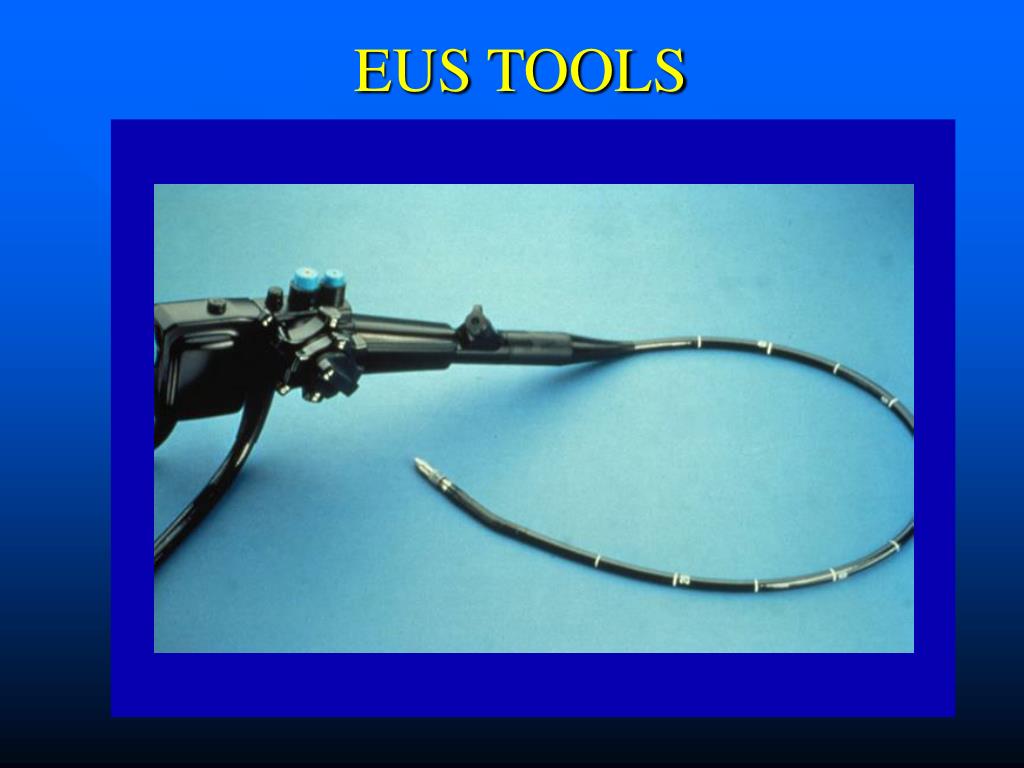 PPT - Pancreatic Cancer: Diagnostic & Maintenance Tools PowerPoint ...