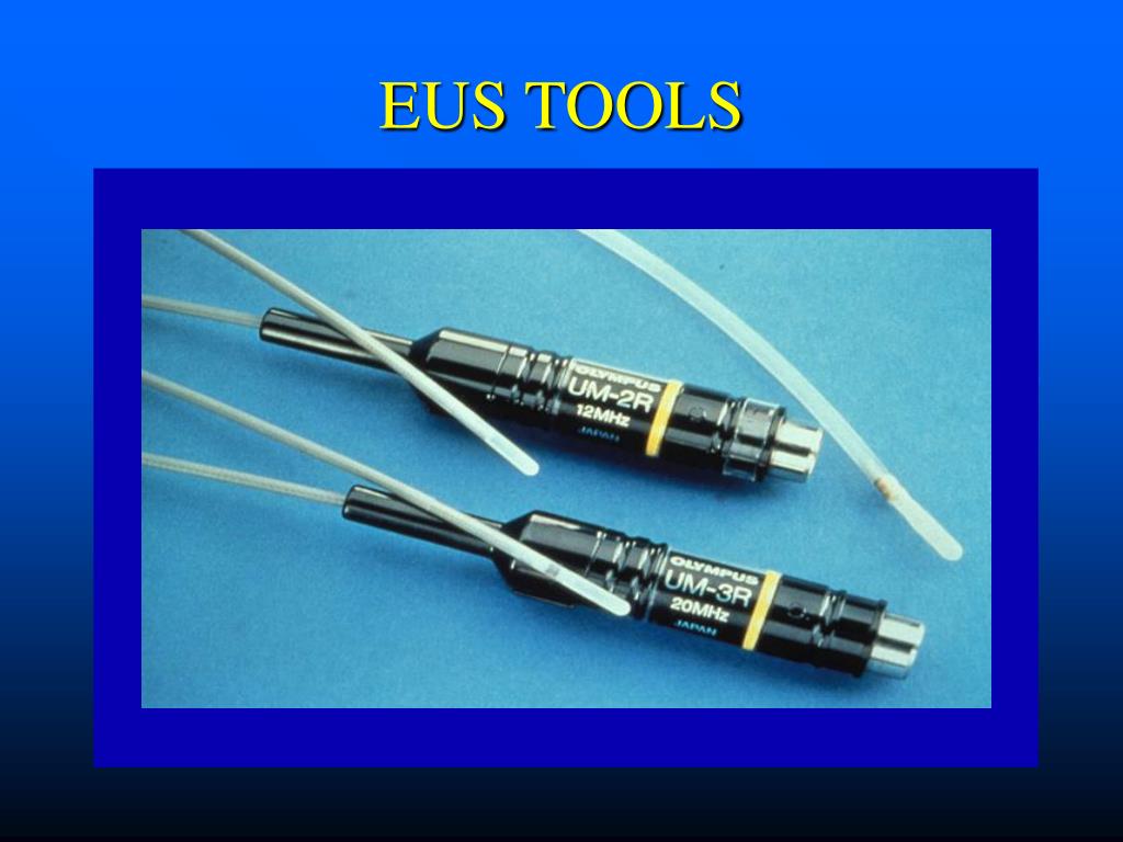 PPT - Pancreatic Cancer: Diagnostic & Maintenance Tools PowerPoint ...