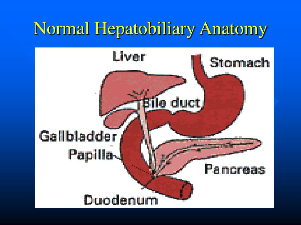 PPT - Pancreatic Cancer: Diagnostic & Maintenance Tools PowerPoint ...