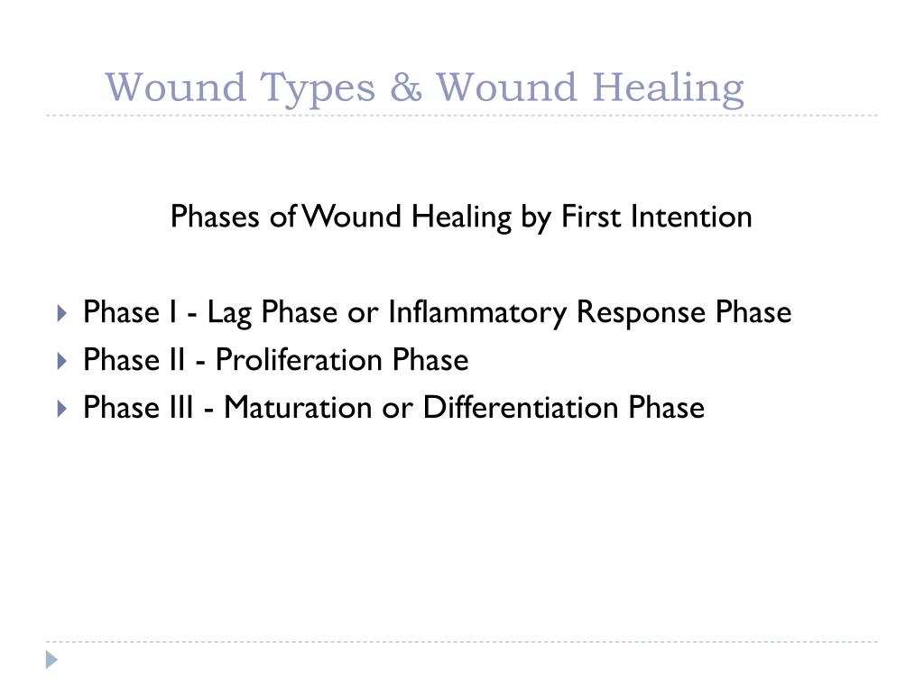 Types Of Healing Wounds at Kate Terry blog