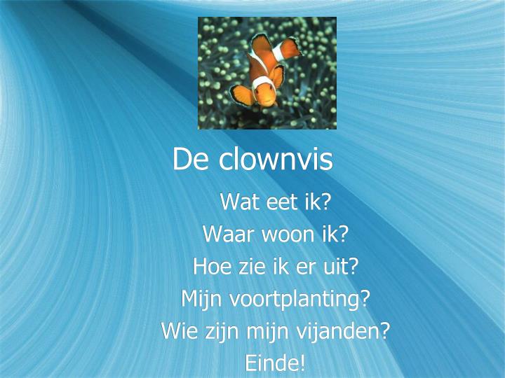PPT - De clownvis PowerPoint Presentation, free download - ID:3296518