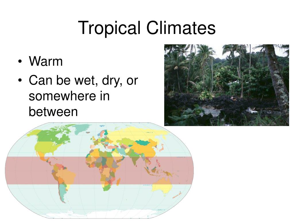 PPT - 5th grade 5.8 Earth and Space Vocabulary Cards PowerPoint ...