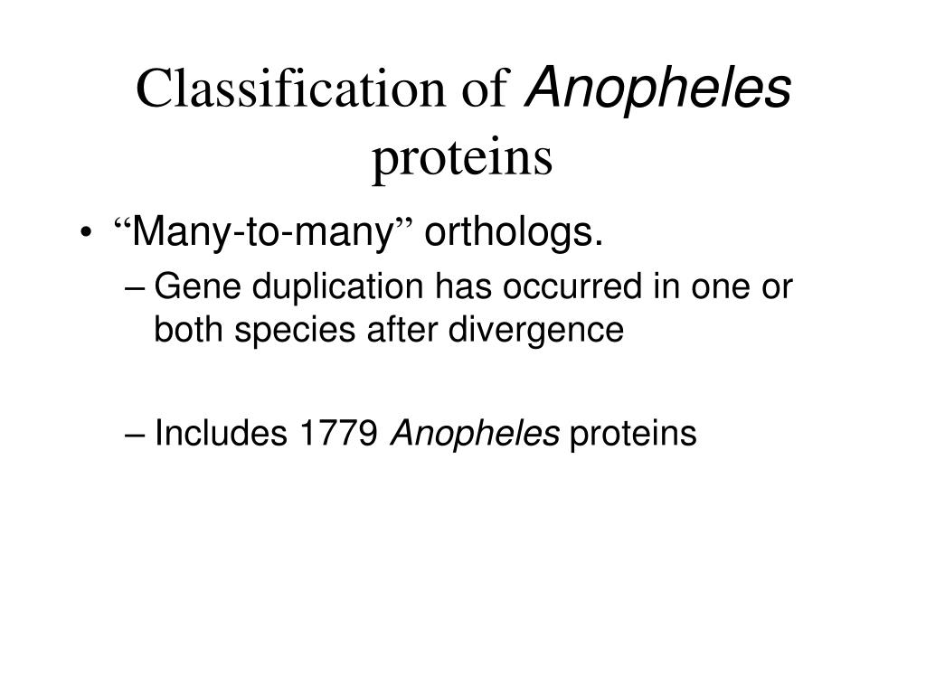 PPT - Comparative Genome and Proteome Analysis of Anopheles gambiae and ...
