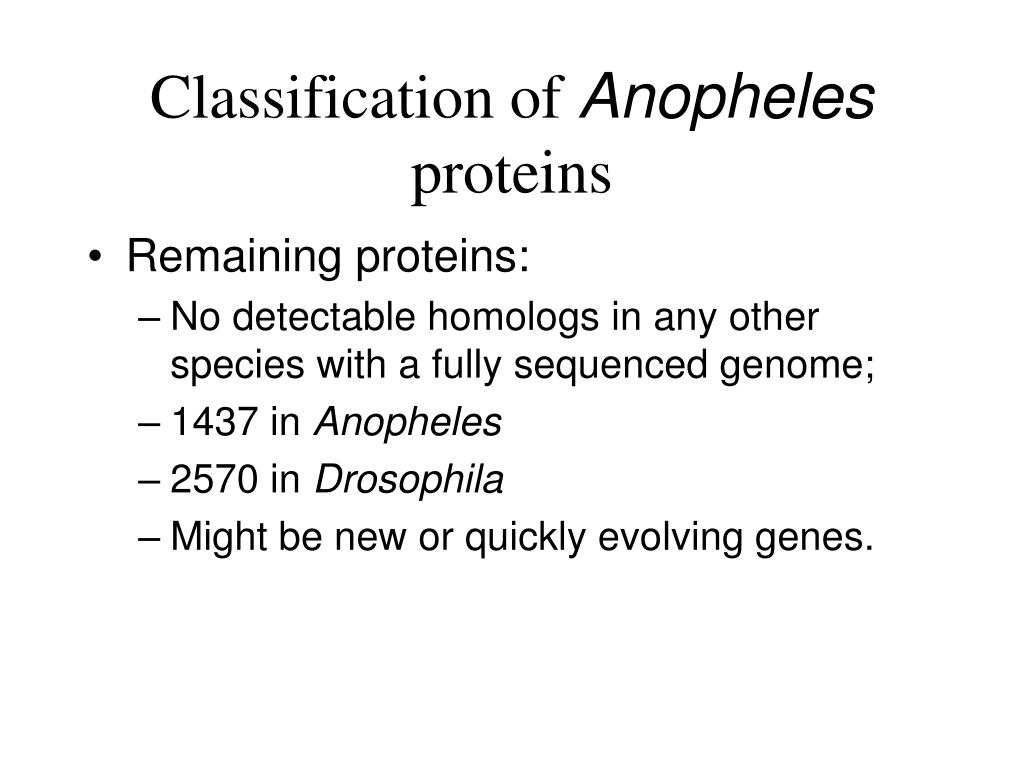 PPT - Comparative Genome and Proteome Analysis of Anopheles gambiae and ...