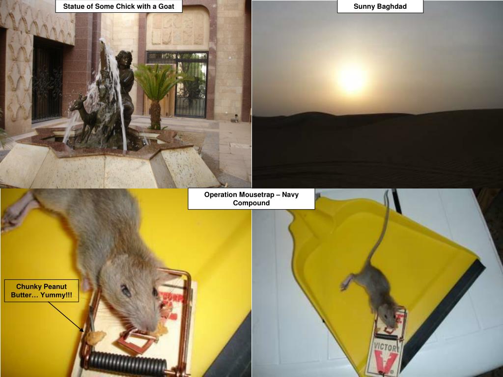 PPT - 14 July Monument Baghdad International Zone PowerPoint Presentation - ID:3298241