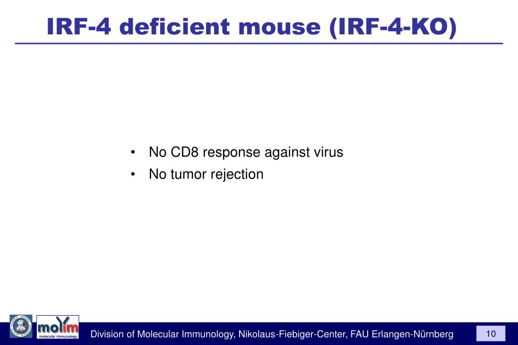 PPT - Exploring the Role of IRF-4 in Humoral Immunity PowerPoint ...