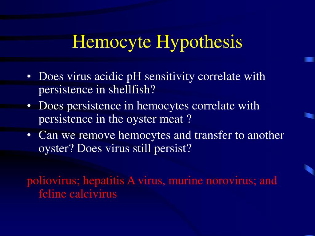 PPT - Persistence Mechanisms of Hepatitis A Virus in Bivalves ...