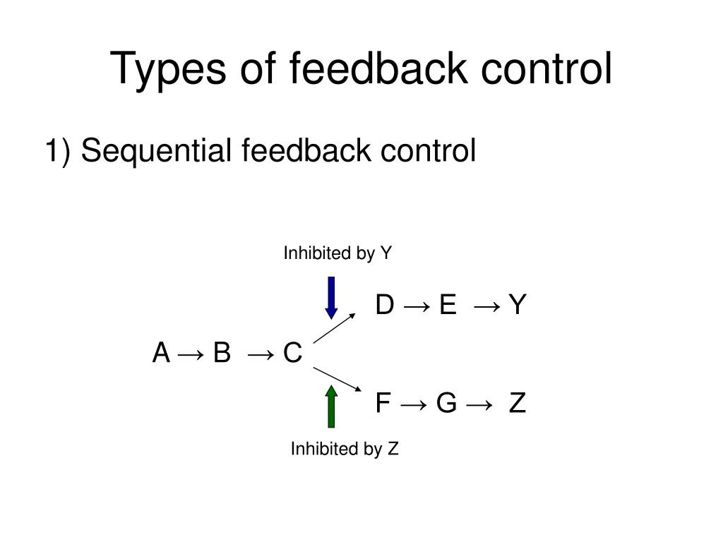 Types Of Feedback Control at Debra Millender blog Types Of Feedback Control at Debra Millender blog