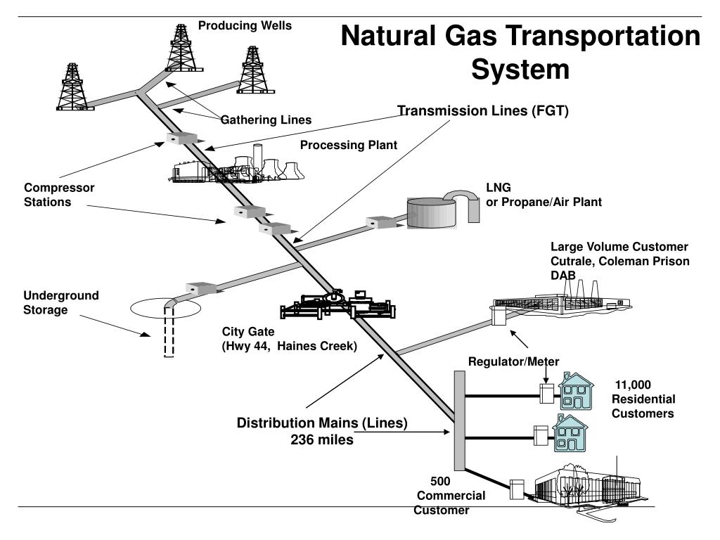 PPT - Enhancing Public Safety: Leesburg's Natural Gas Awareness Program ...