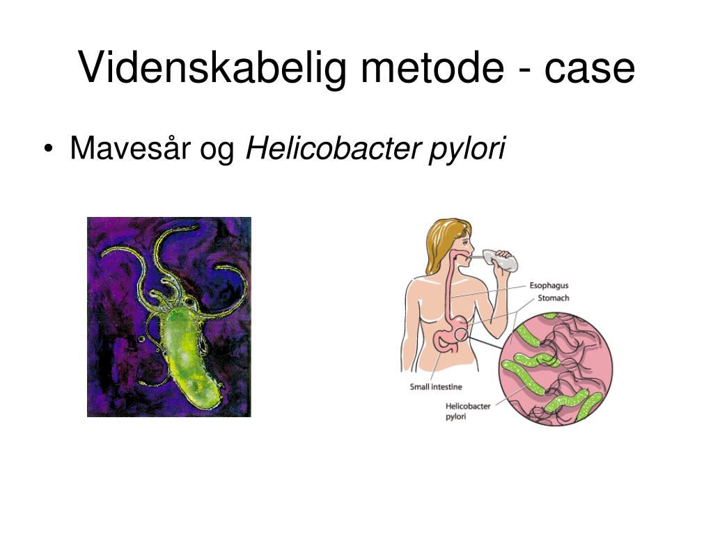 PPT - Videnskabsteori og videnskabelig metode PowerPoint Presentation ...