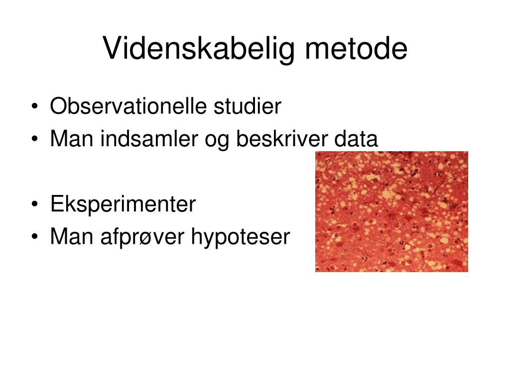 PPT - Videnskabsteori og videnskabelig metode PowerPoint Presentation ...