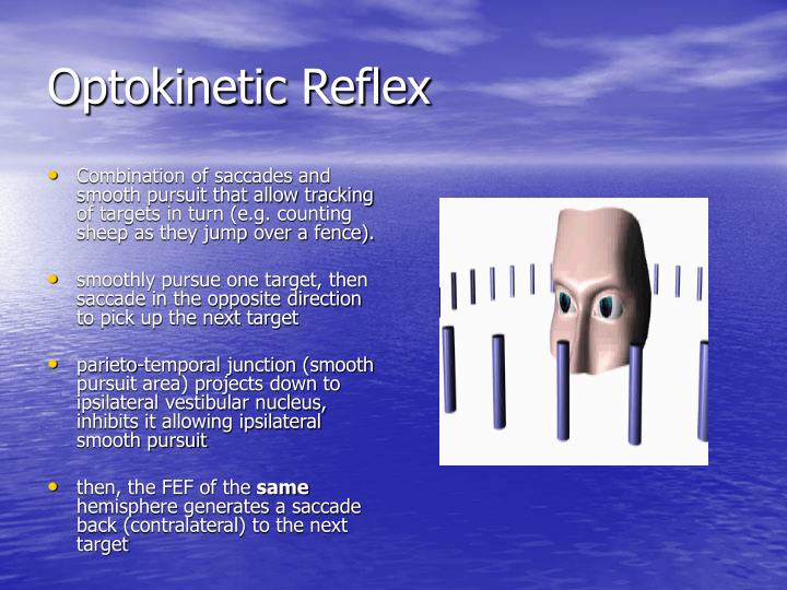 PPT - Eye Movements PowerPoint Presentation - ID:3299380