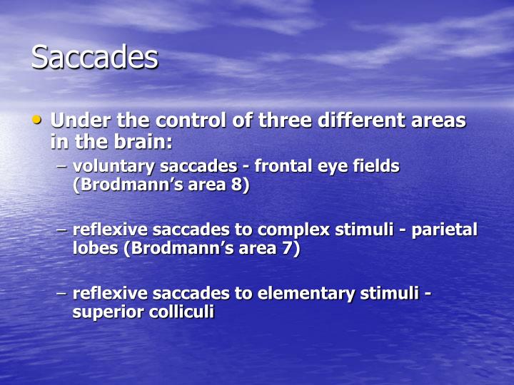PPT - Eye Movements PowerPoint Presentation - ID:3299380