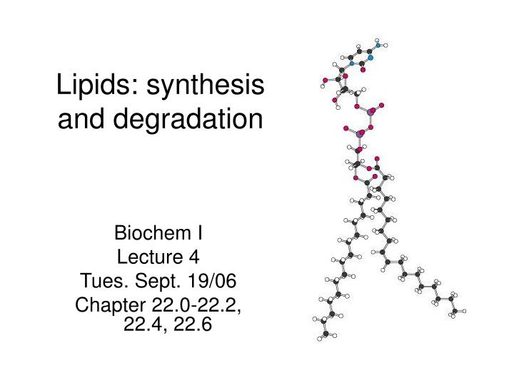PPT - Lipids: synthesis and degradation PowerPoint Presentation, free ...