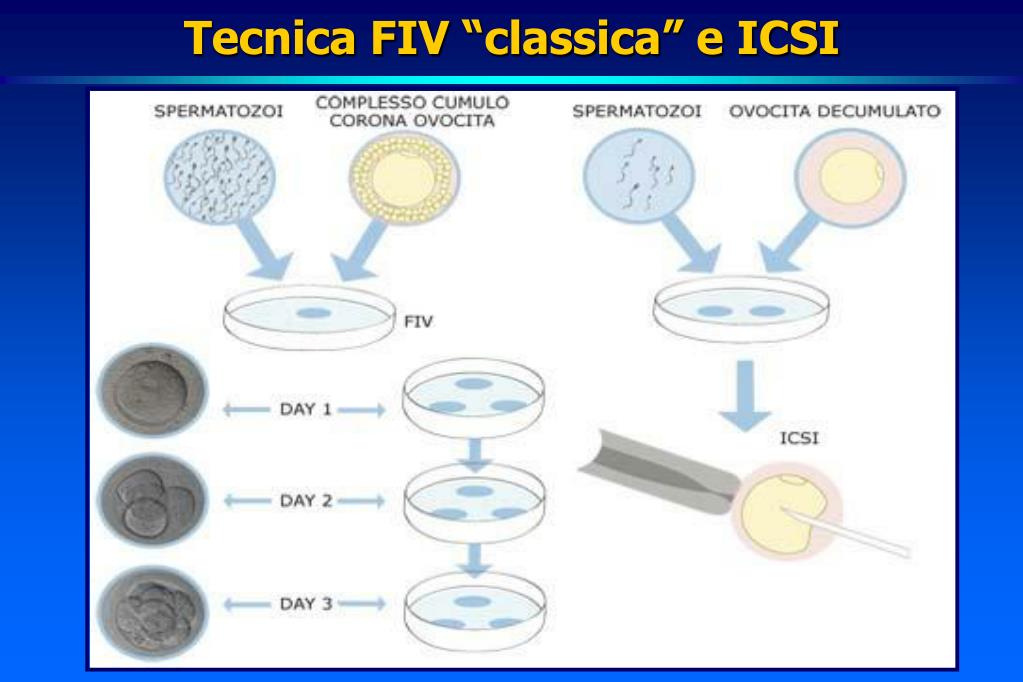 PPT - Tecniche di Procreazione Medicalmente Assistita Filippo Ubaldi ...