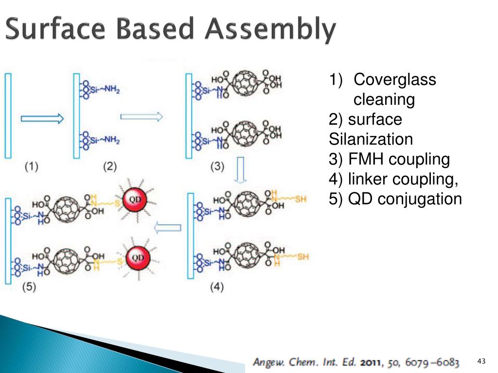 PPT - Instructor: Dr. Marinella Sandros PowerPoint Presentation, free ...