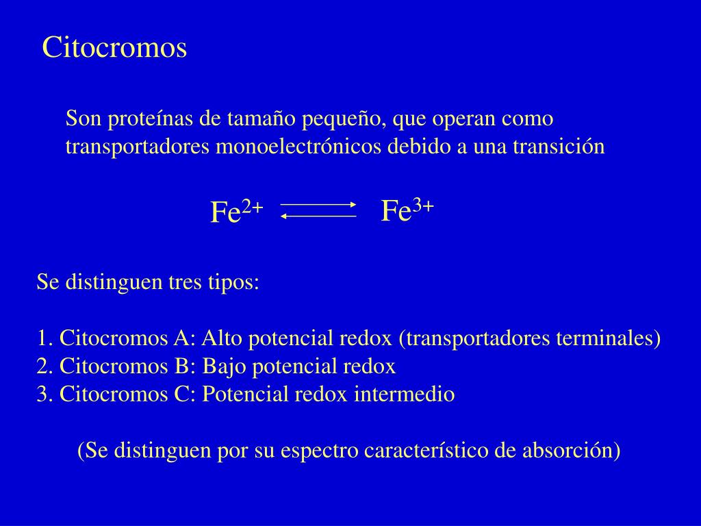 PPT - Cofactores enzimáticos (Coenzimas) PowerPoint Presentation, free ...