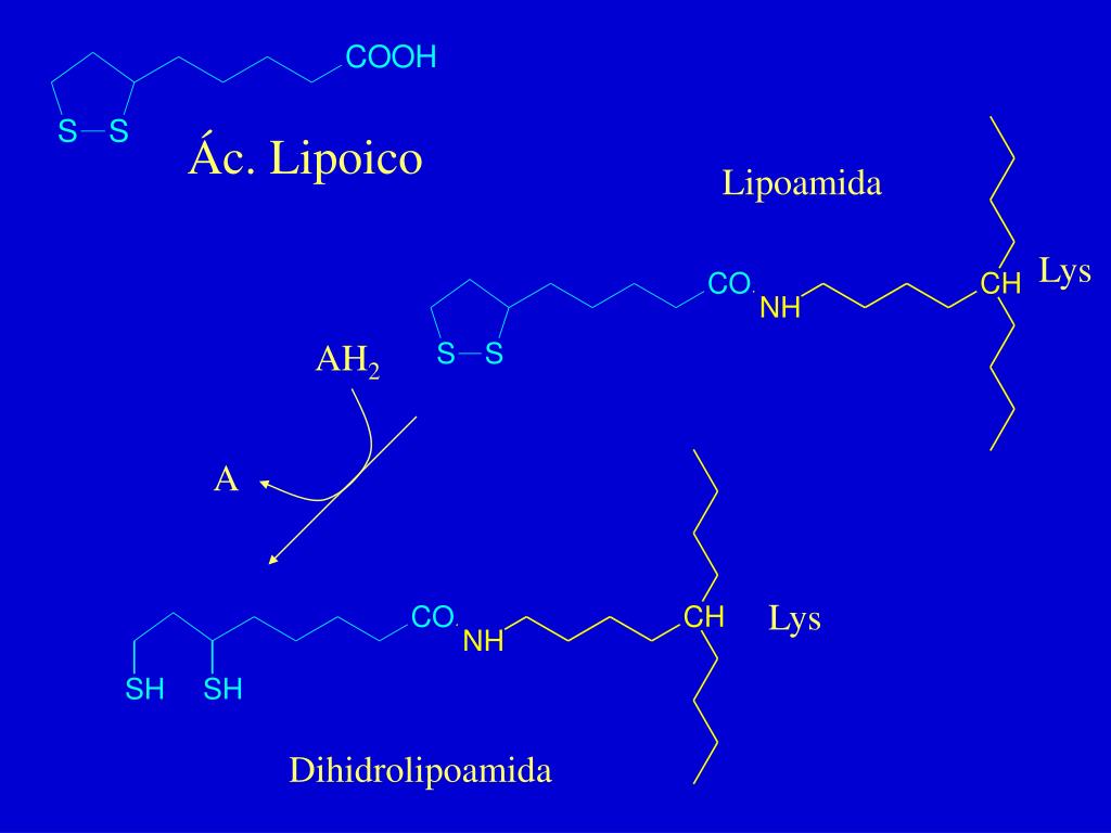 PPT - Cofactores enzimáticos (Coenzimas) PowerPoint Presentation, free ...