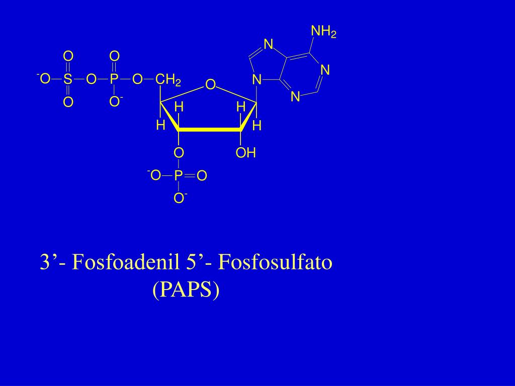 PPT - Cofactores enzimáticos (Coenzimas) PowerPoint Presentation, free ...